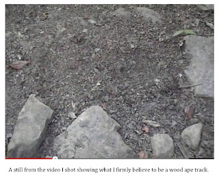 Texas Cryptid Hunter: An Amazing Trip