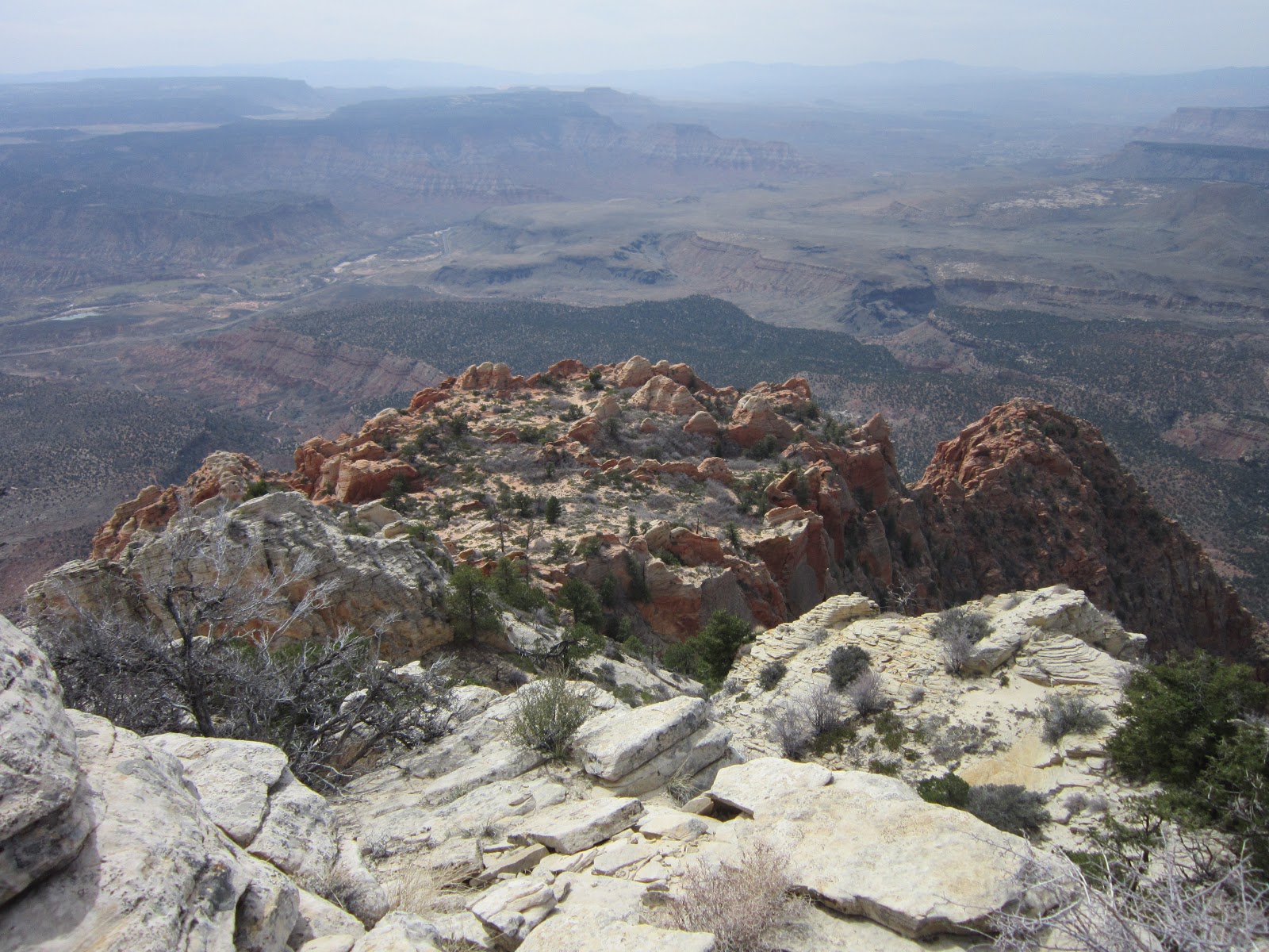 If I Were a Crow: Spring Break in Utah