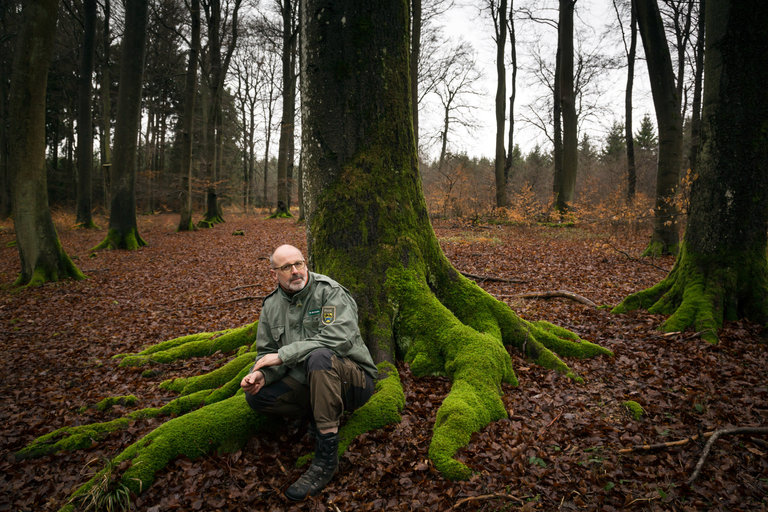 The Rural Blog: Trees in forests communicate, German author says