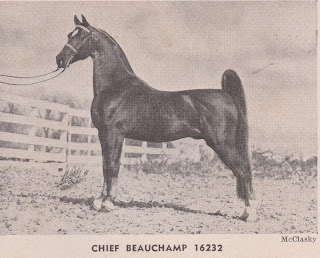 The American Saddlebred: 9/29/18 More from the 1953 sire rating