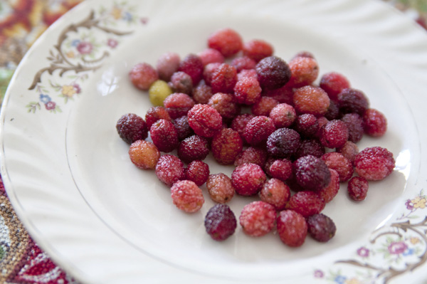 Taste of Nepal: Kaaphal or Kafal Fruit - काफल - (Bay-Berry)