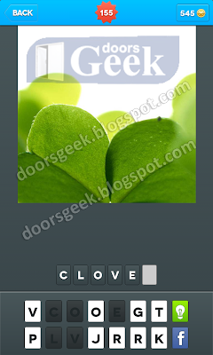 Zoomed In - Photo Word Game Level 155 ~ Doors Geek