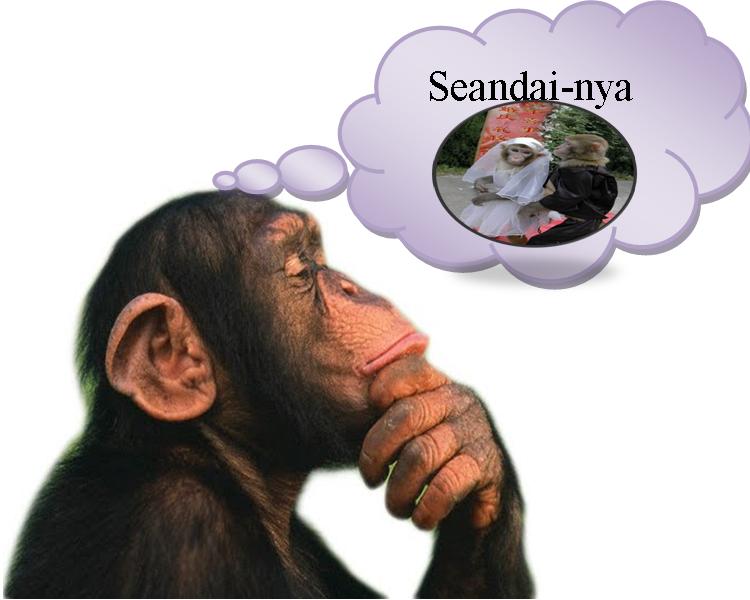 Berhati-Hati Melamun Bisa Memperpendek Usia ~ Paling Unik