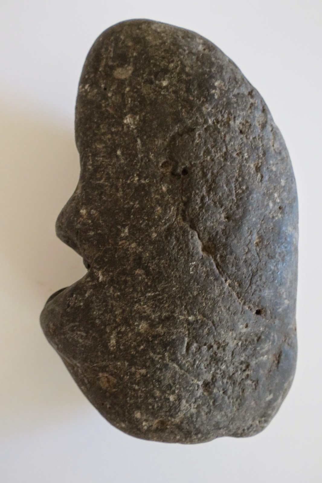 Archaeology of Portable Rock Art: January 2015