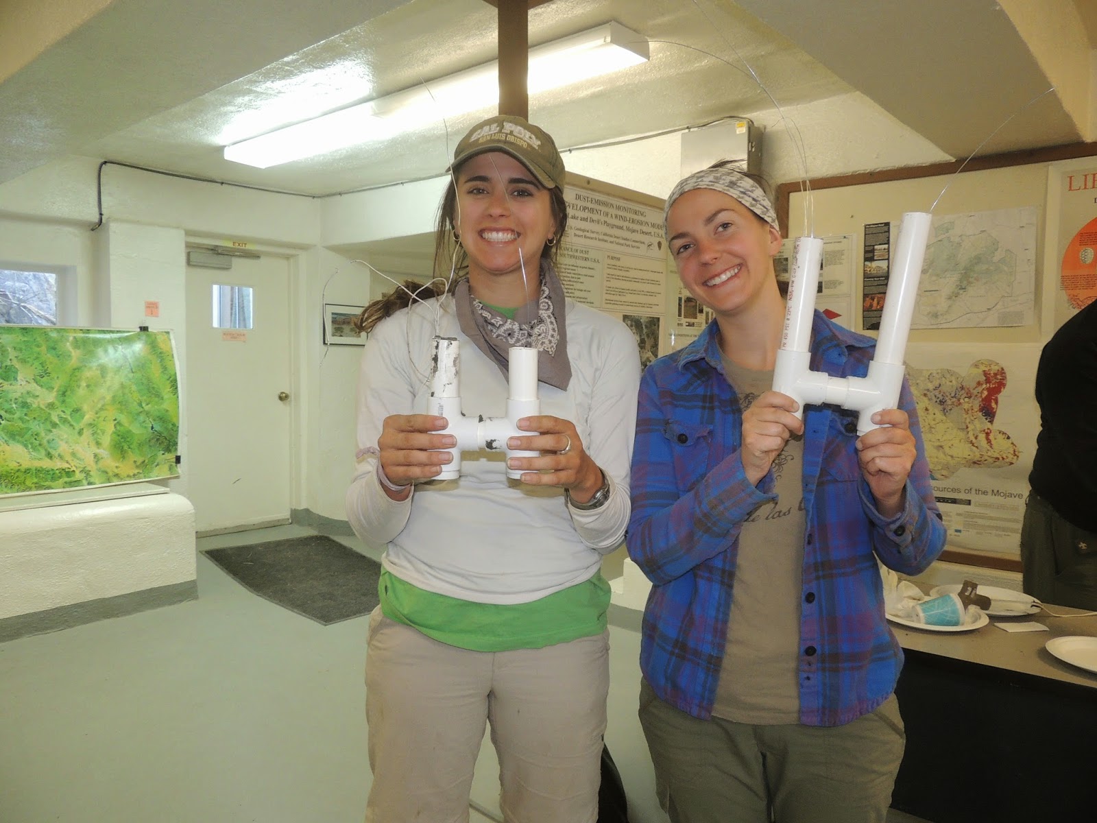 Miss B's Science Feed