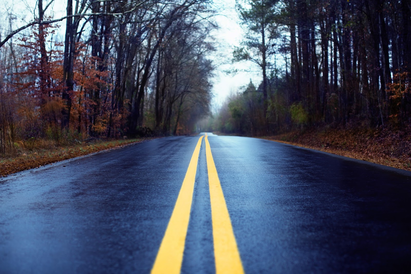 Fotoğraflar Dünyası "yol" - özeldersci