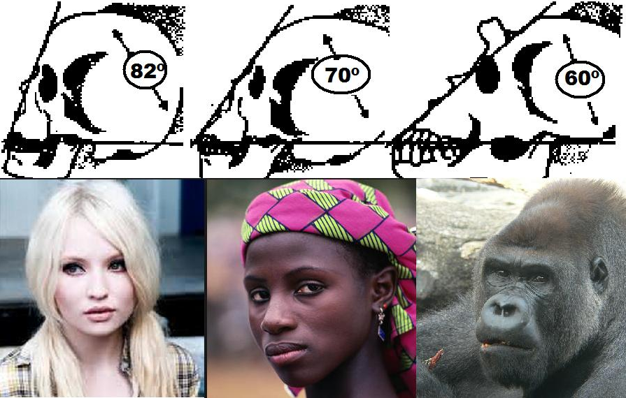 Es cierto que las negras arriba del ring son mas hediondas que la ...