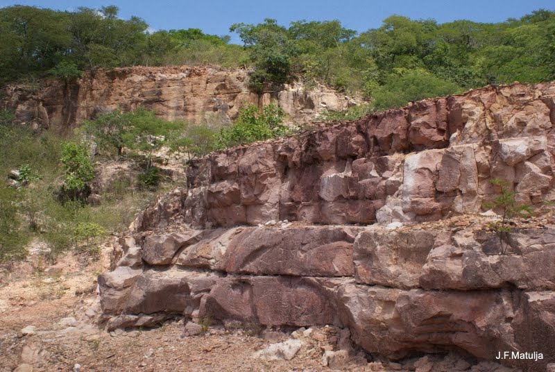 Mi Geoblog: Geologia y más: PECES FOSILES DE LA FORMACION ROMUALDO ...