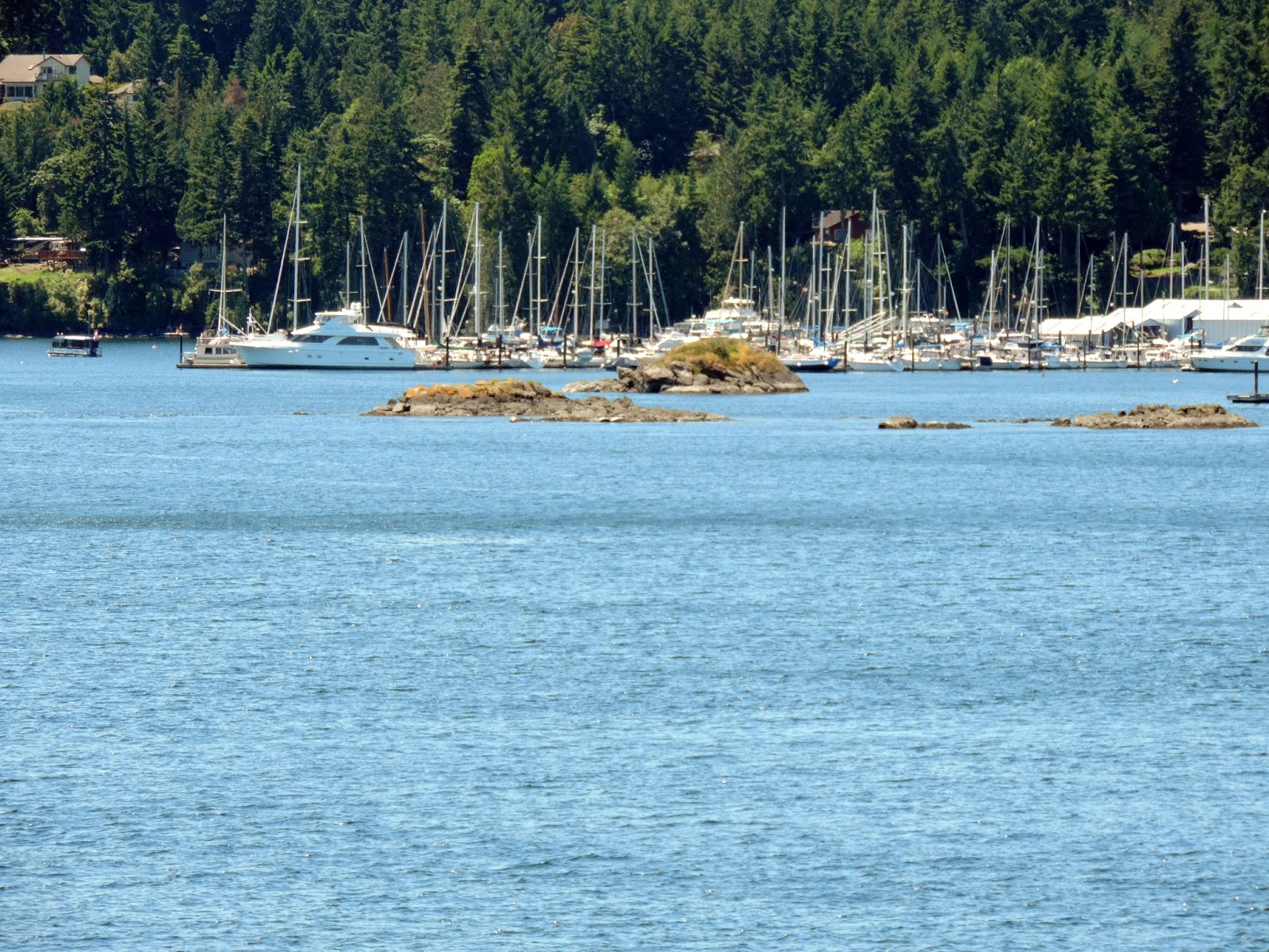 North to Alaska: Victoria Island & Vancouver