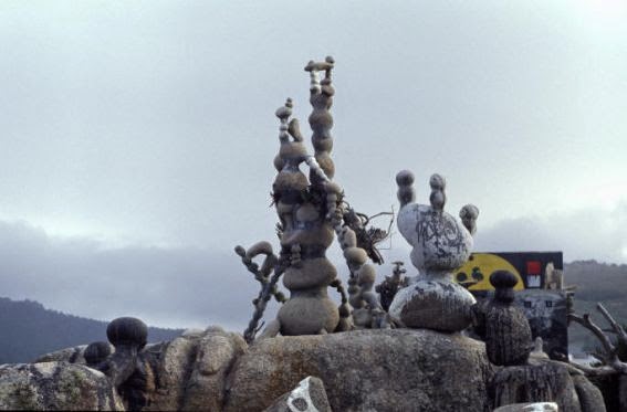 DESASTRES ECOLÓGICOS-EL PRESTIGE: La última víctima del 'Prestige ...