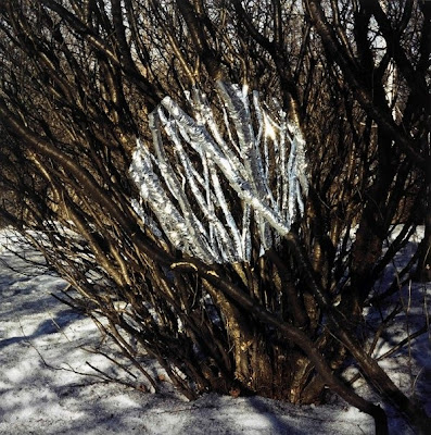 proyecto-fotográfico: Jan Imberi