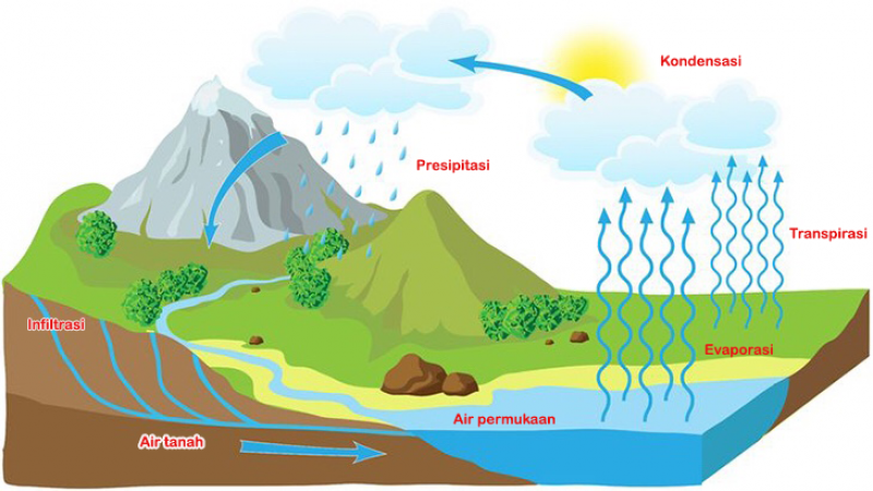 PORTAL GEOGRAFI : Siklus Air (Daur Hidrologi)