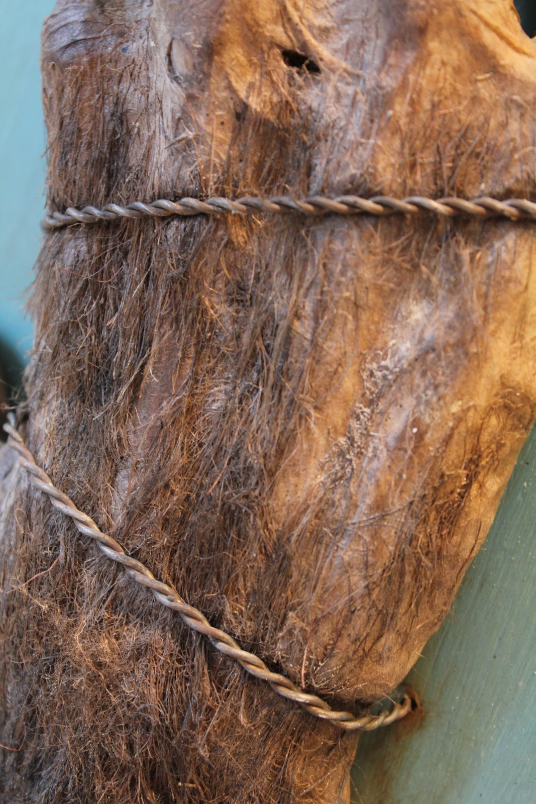 Curiomira: Sasquatch hand