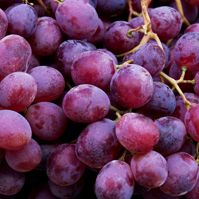 Salón Estética Mª José Soler