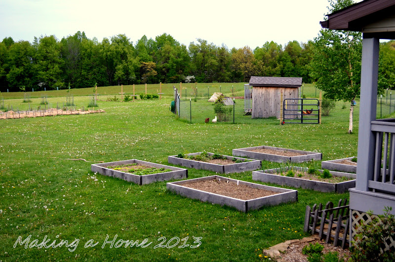 Making A Home: How We Homestead Series: How It All Began