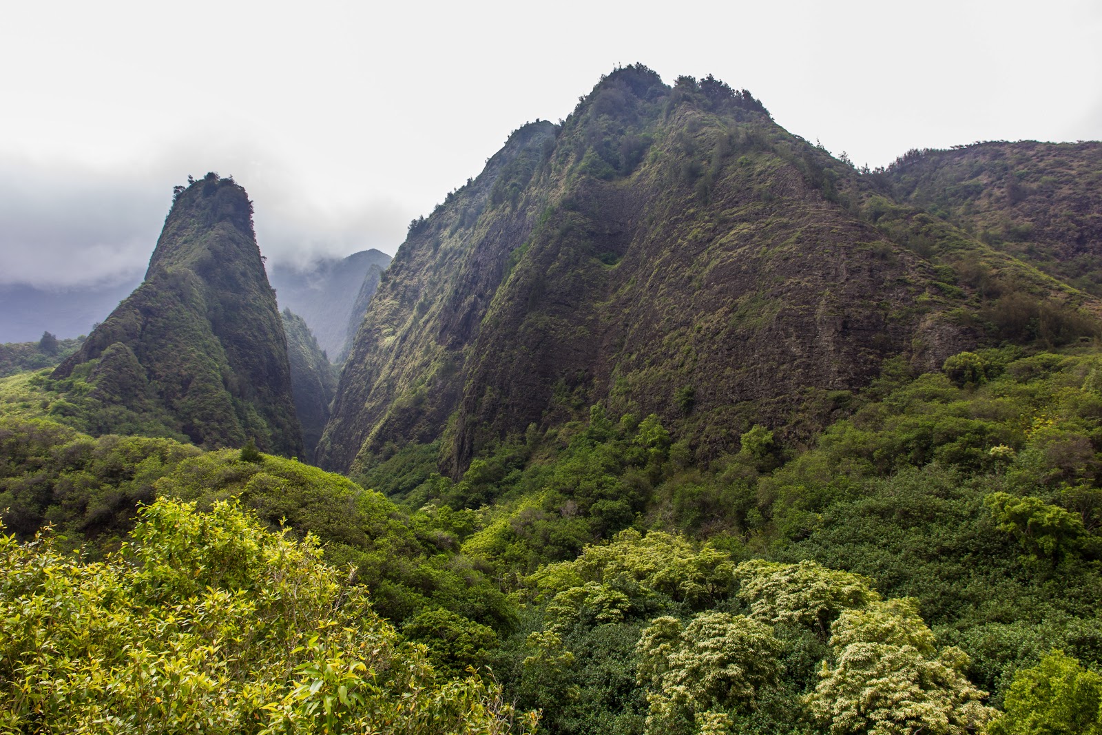 reisefuchs - round the world - (Welt-)Reiseblog: Maui - Tage 1, 2, 3 und 4