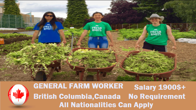 GENERAL FARM WORKER BC, CANADA - Worldswin: jobs apply-immigration advice