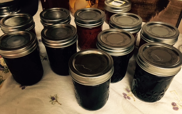 Using up the leftover fruit; more Alaska edibles