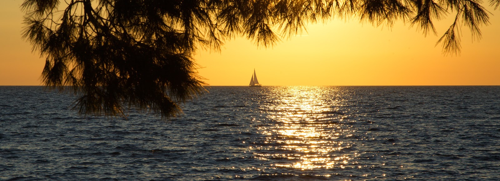 neskončno iskanje II: morje