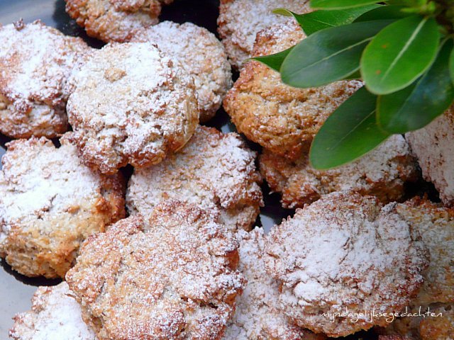 mijn dagelijkse gedachten: Light exotic oat cookies