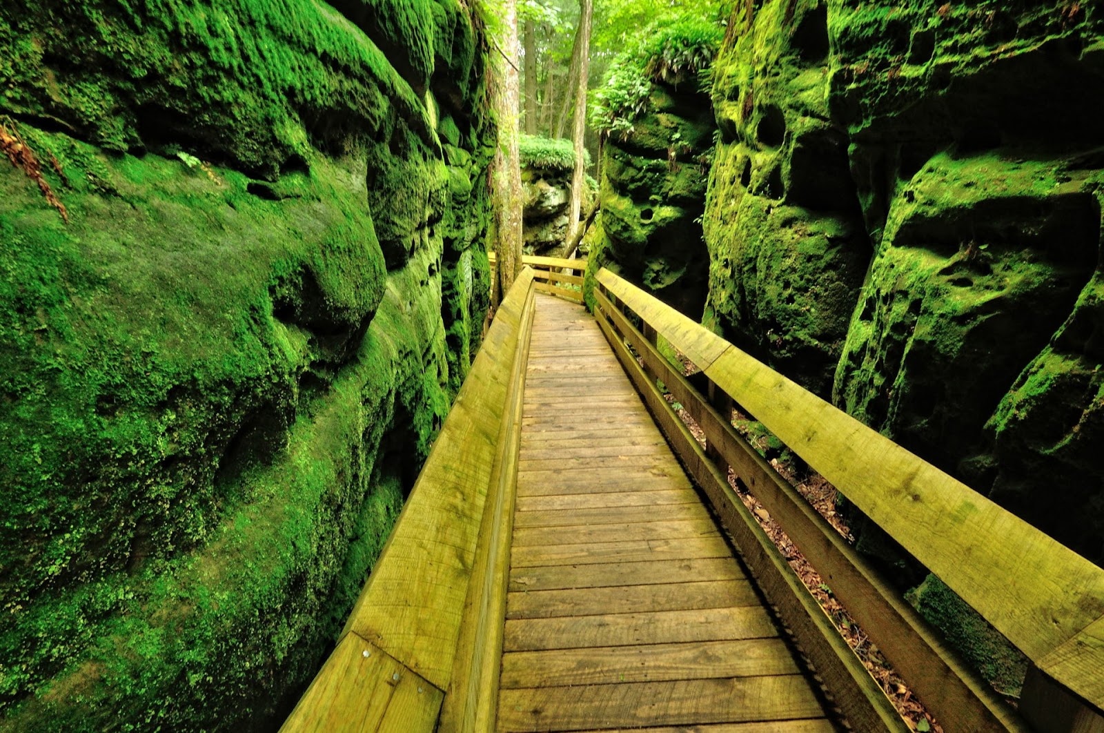 Discover West Virginia: Beartown State Park: Off the Beaten Path