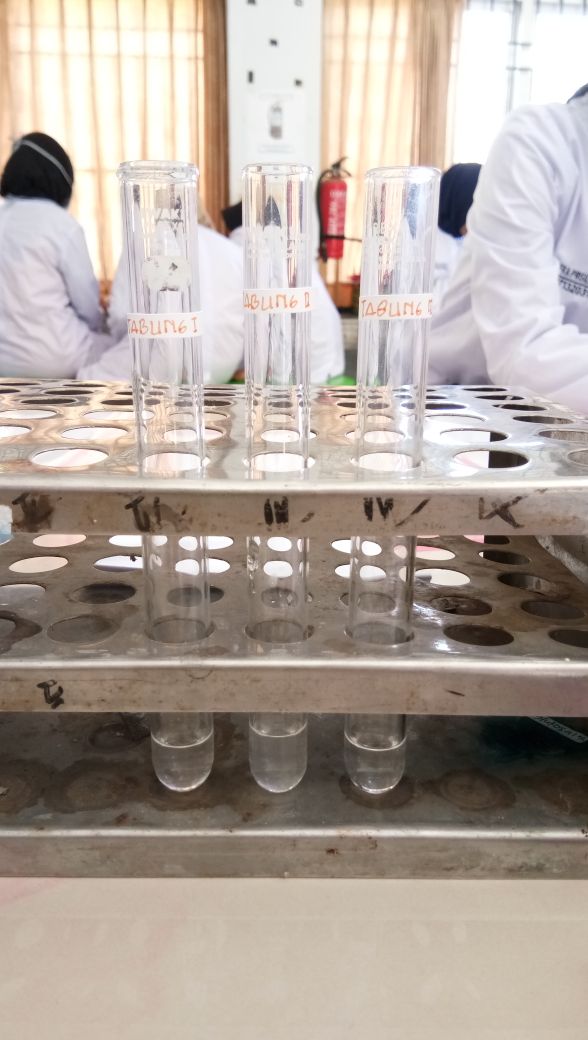 Pendidikan/ Kesehatan: LAPORAN PRAKTIKUM UJI IODIN