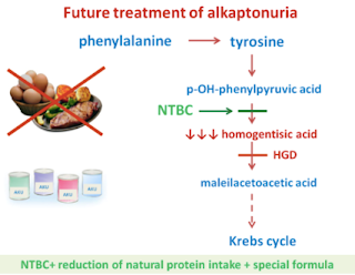 KNOWLEDGE: ALKAPTONURIA
