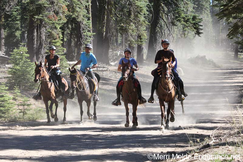 Endurance.Net: USA News: 2016 Tevis Cup: Part 2