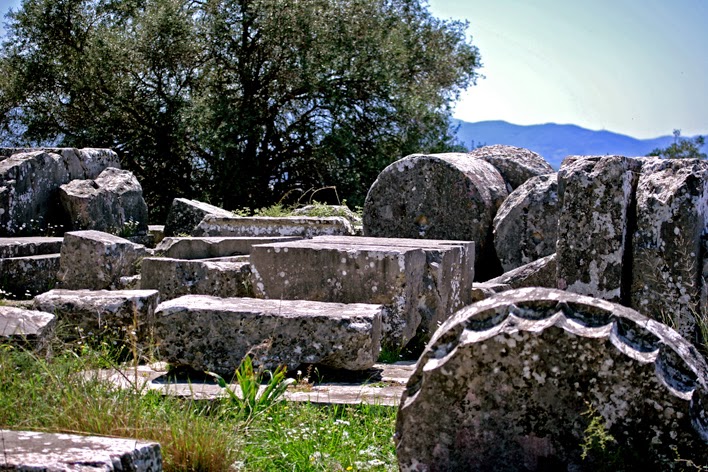 Define Normal: El ecosistema de Stratos antigua - Το οικοσύστημα της ...