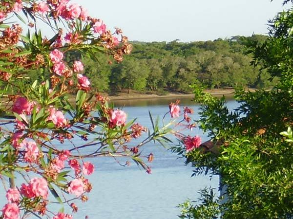 Complejo El Paraíso de Yapeyú - Region Litoral