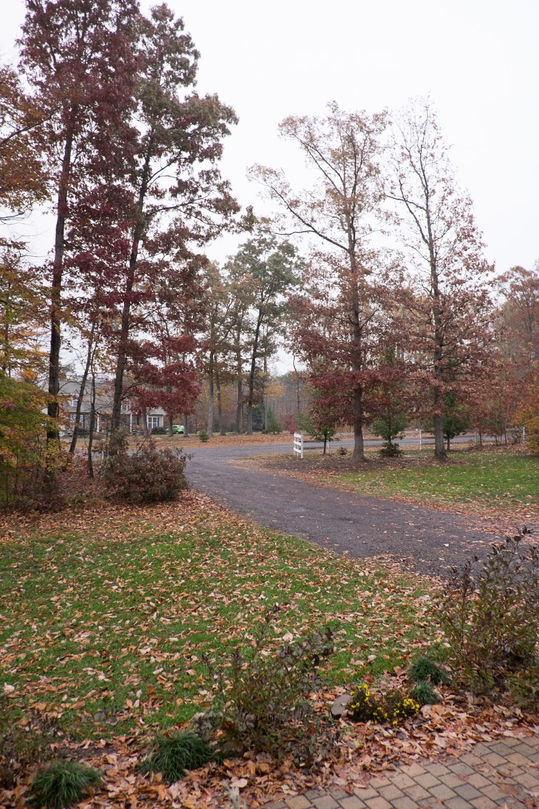 Domestic Fashionista: Before We Moved In: Tour Of Our Virginia Home