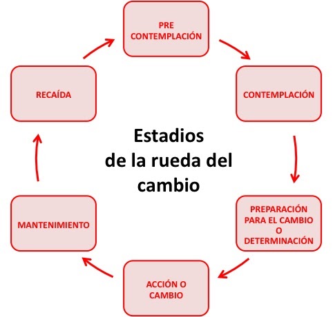 Servicios de psicoterapia y consultoría psicológica: Estadios del ...