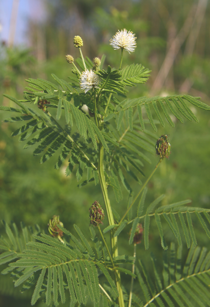 Garnie McEwen Photography: Snap Shots, January-February 2012