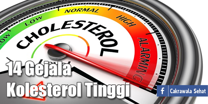 14 Gejala Kolesterol Tinggi yang Sulit Dikenali - Info Kesehatan