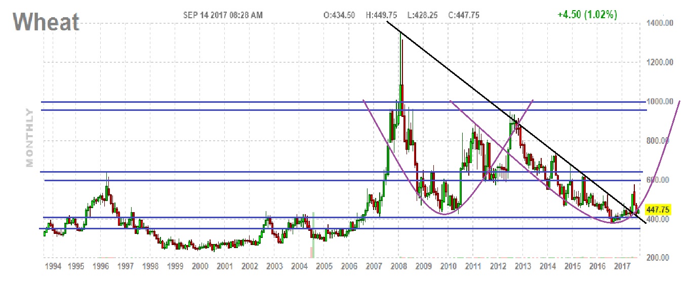 Trading The Contrarian Style With Clarence Yo : Wheat Chart Analysis