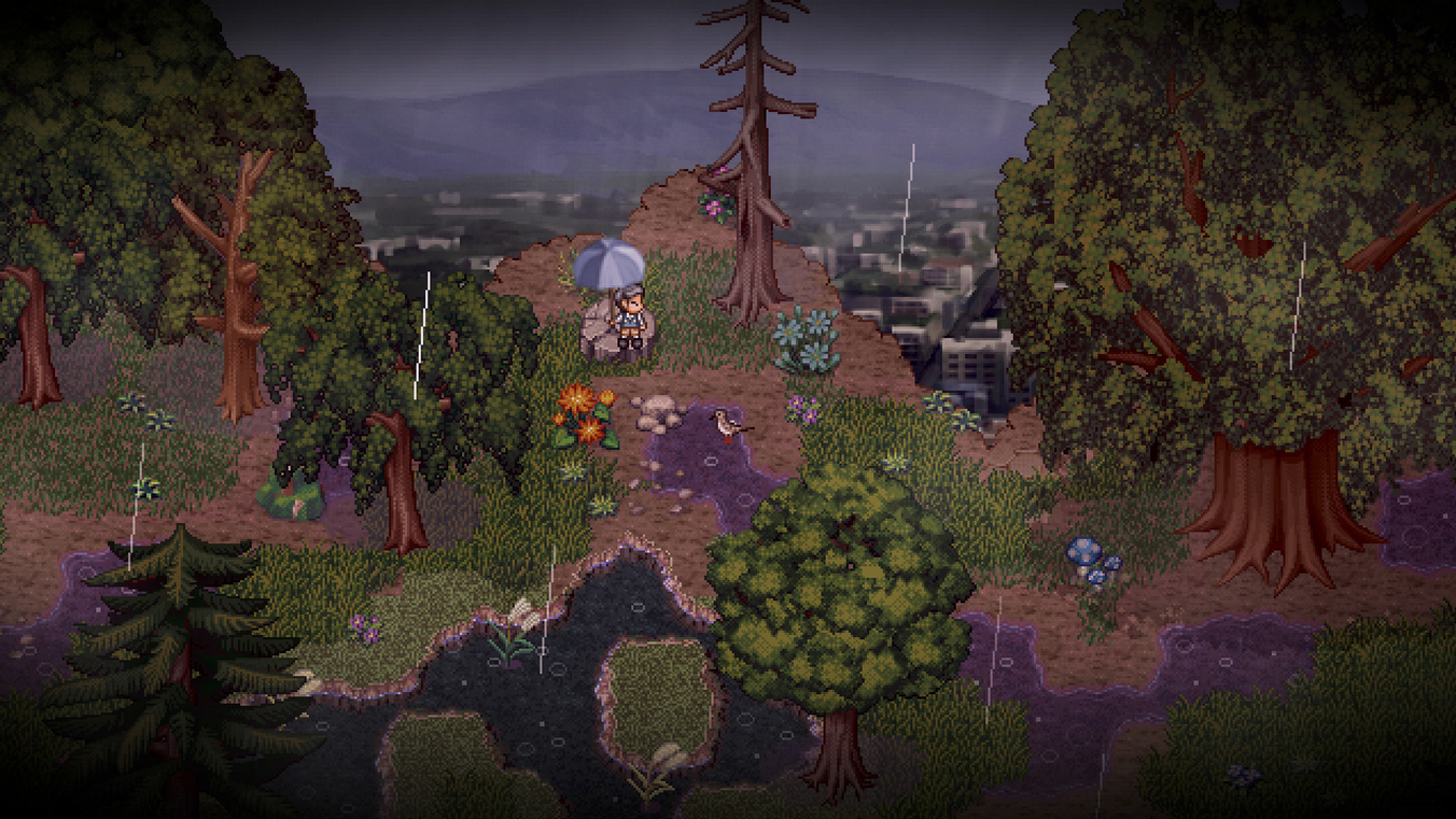 [Review] A Bird Story - Jack-Reviews.com