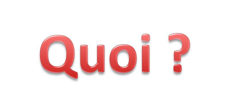 Yvon MOUGIN: Processus : le QUOI et le COMMENT.