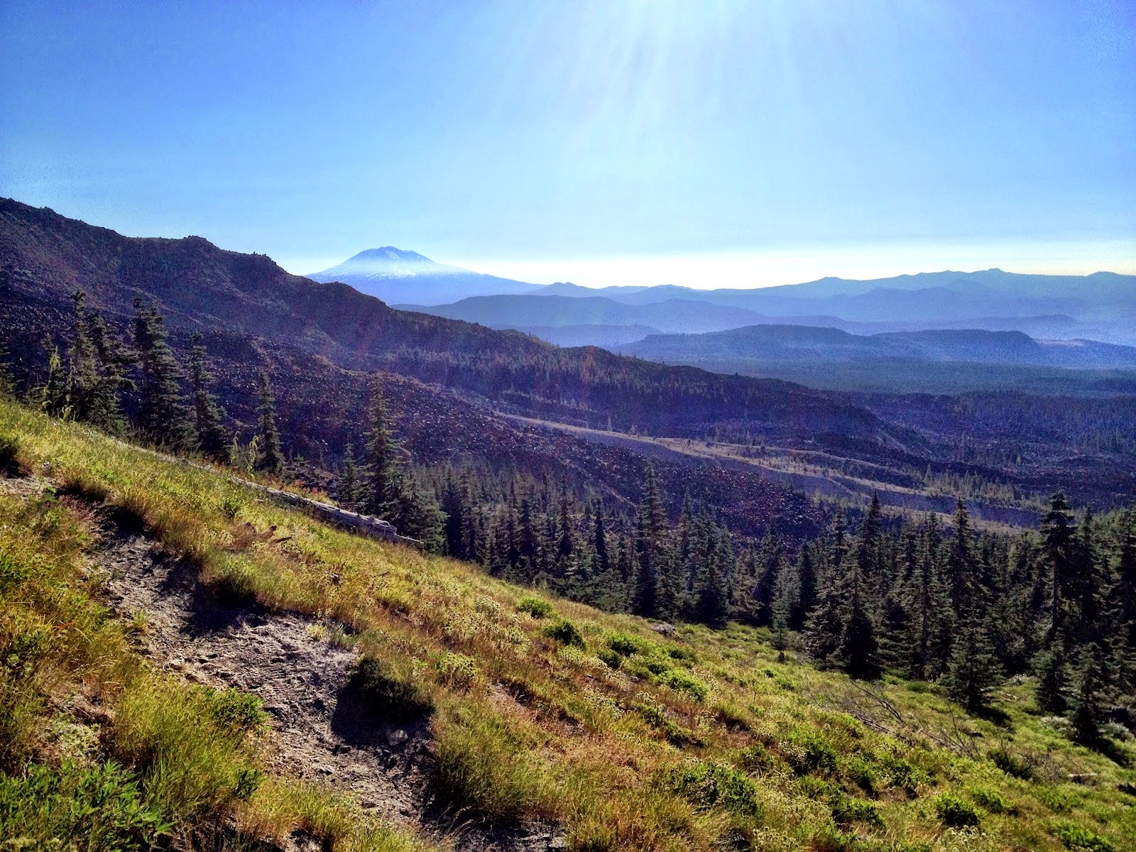 Forever Pace: Jbob's Volcanic 50k Race Report - Mt. St. Helens ...