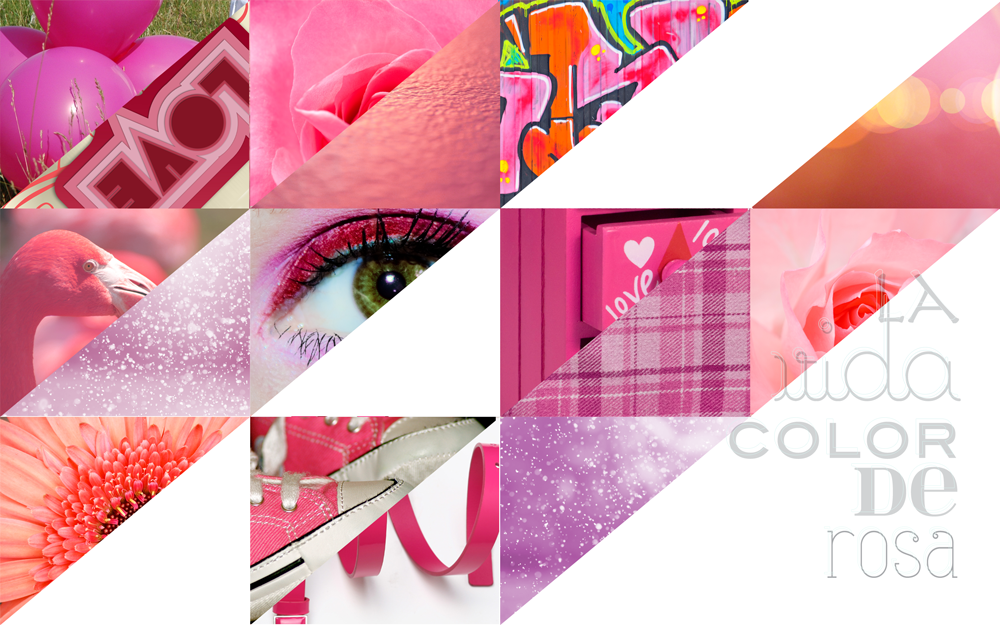 sans: la vida color de rosa ∞