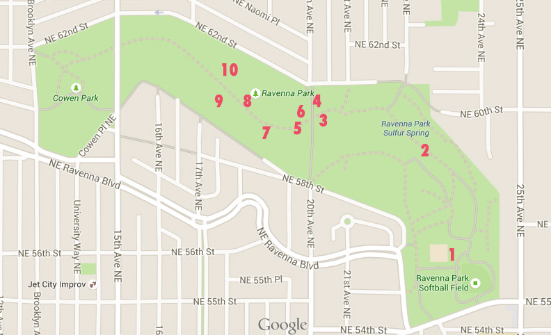 Ravenna Park Observations : Ravenna Park Walking Tour