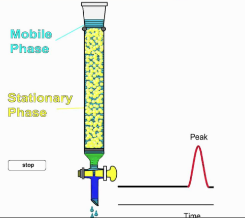 Reading a Chromatogram - INSIDE CHEMISTRY