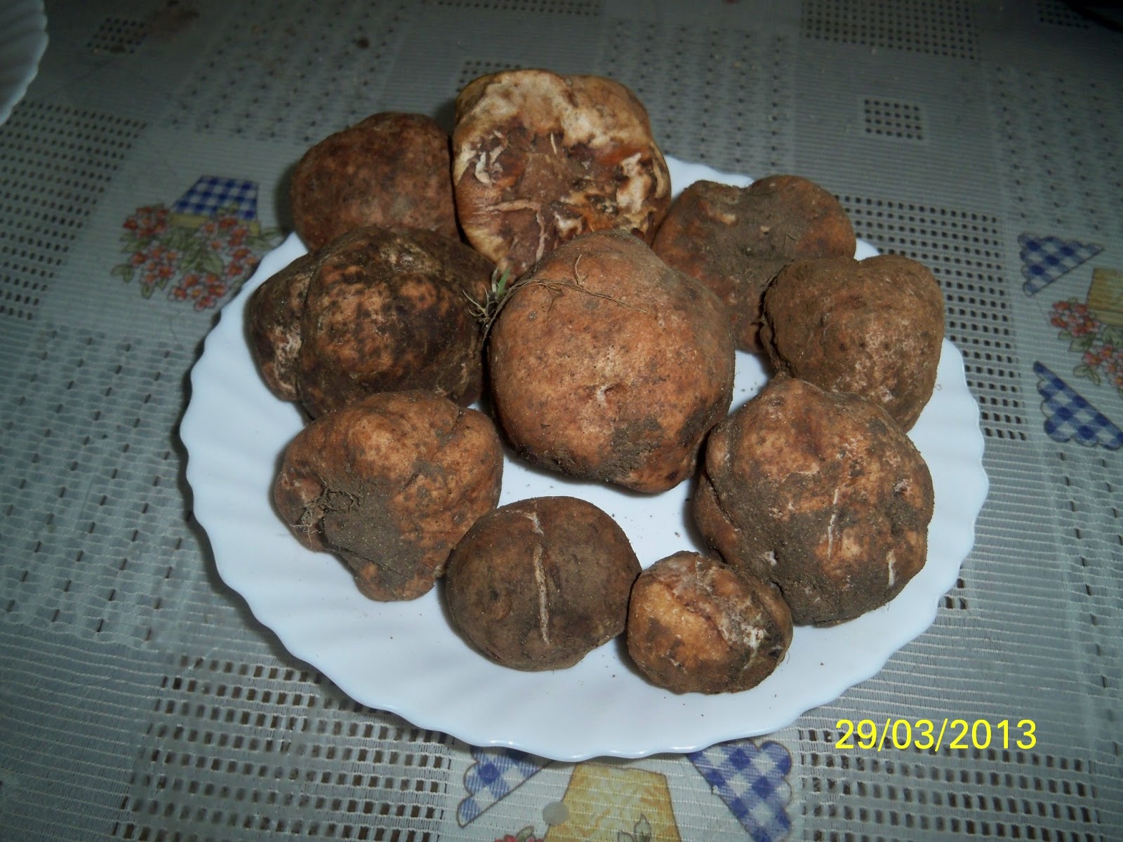 lance y veleta: PATATAS DE TIERRA