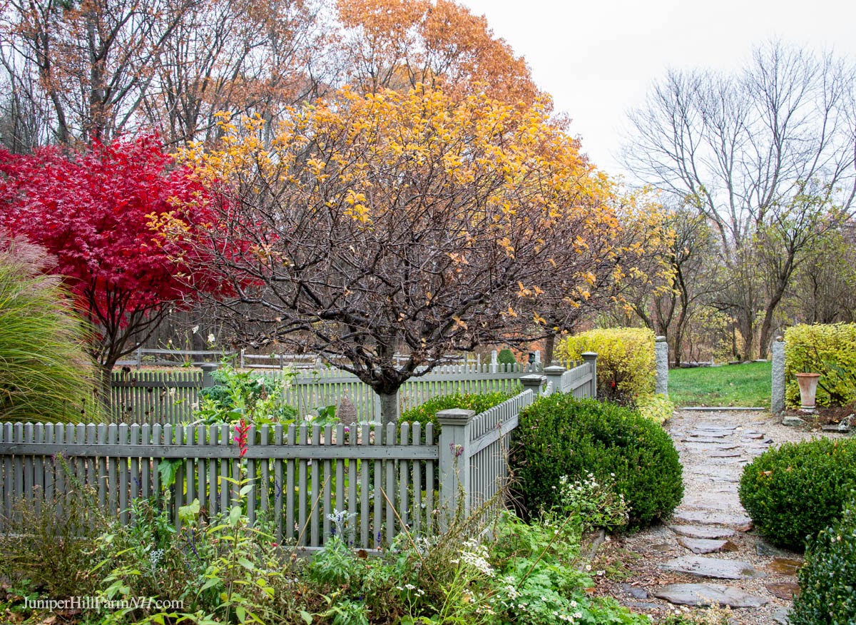 Juniper Hill: So Long, November