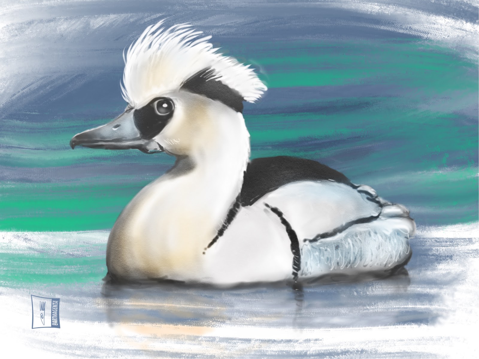 Birds: Smew