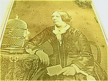 The Aviary: The Victorian Aviary