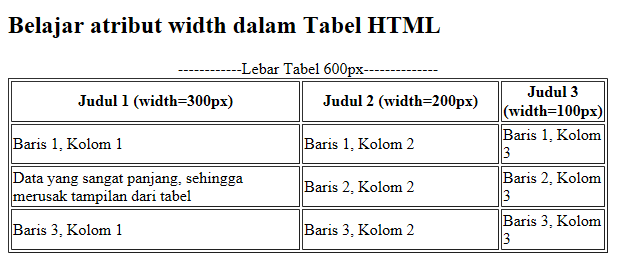 Penggunakan TAG Pada HTML 10 - Cara Mengatur dan Mengubah Lebar Tabel ...