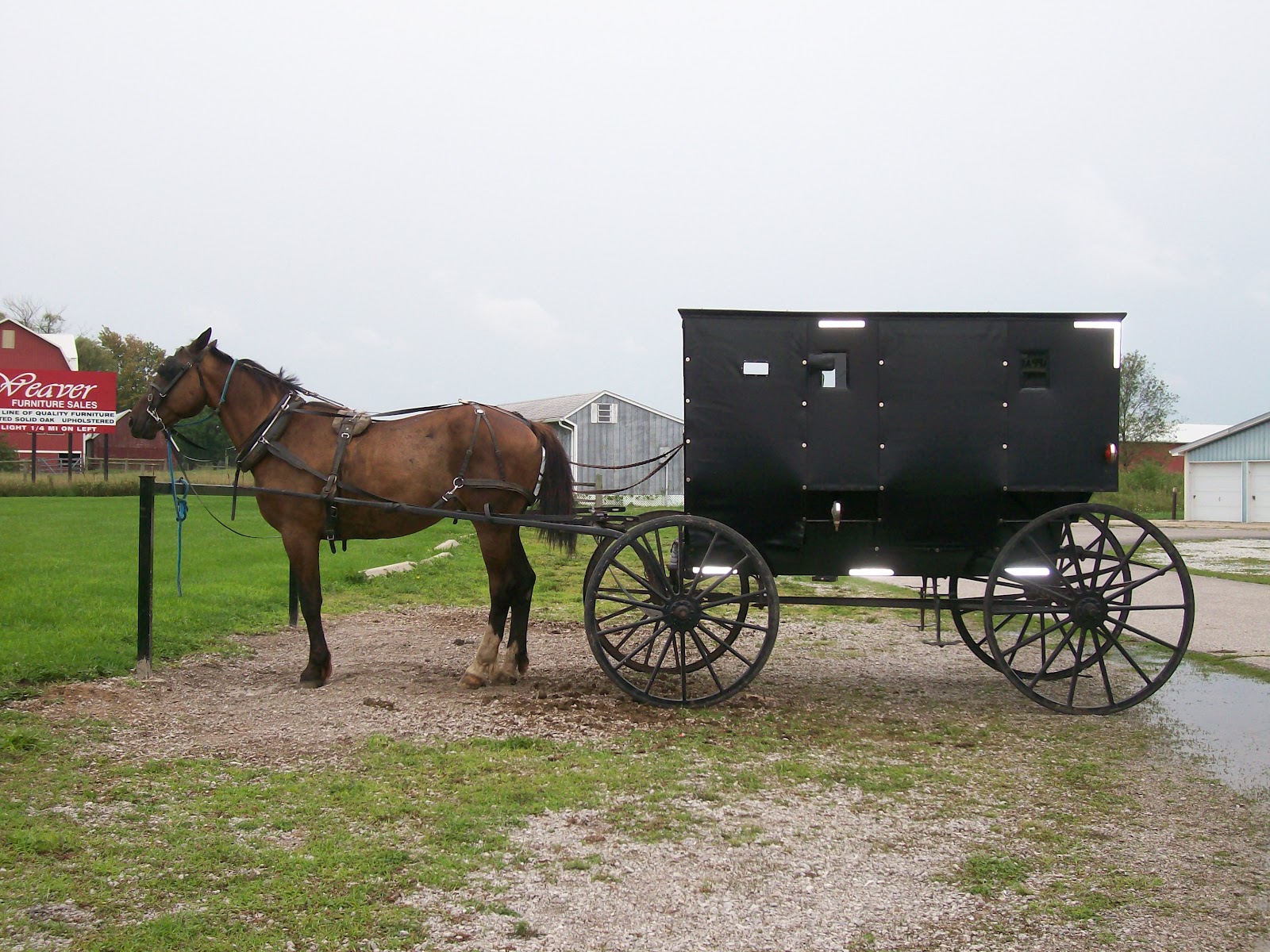 Simple Pleasures: Amish Transportation