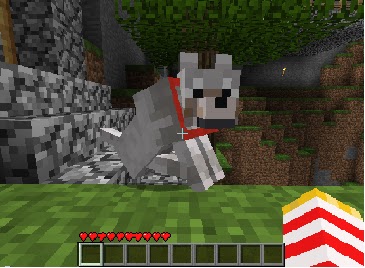 Scout when we first got him - Can you see the I