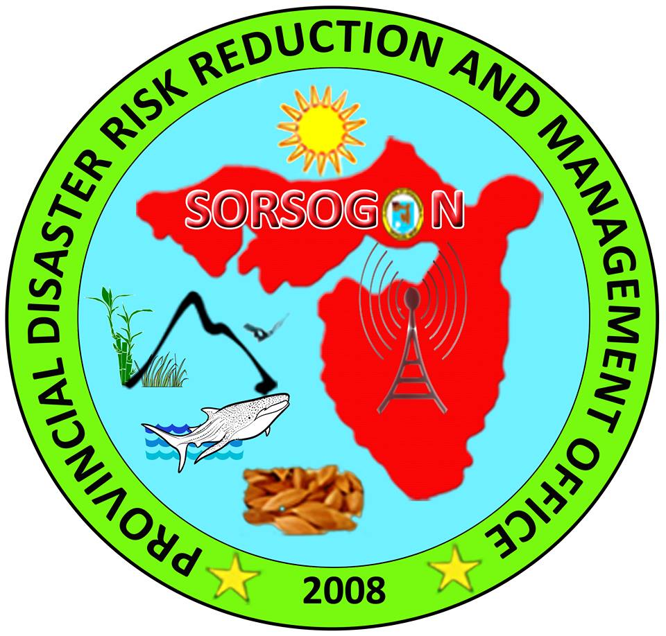 The SPDRRMO and its SYSTEM