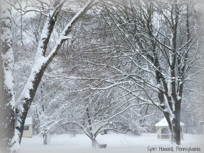 Beyond LiteracyLink: Winter Wonderland Gallery Unveiled